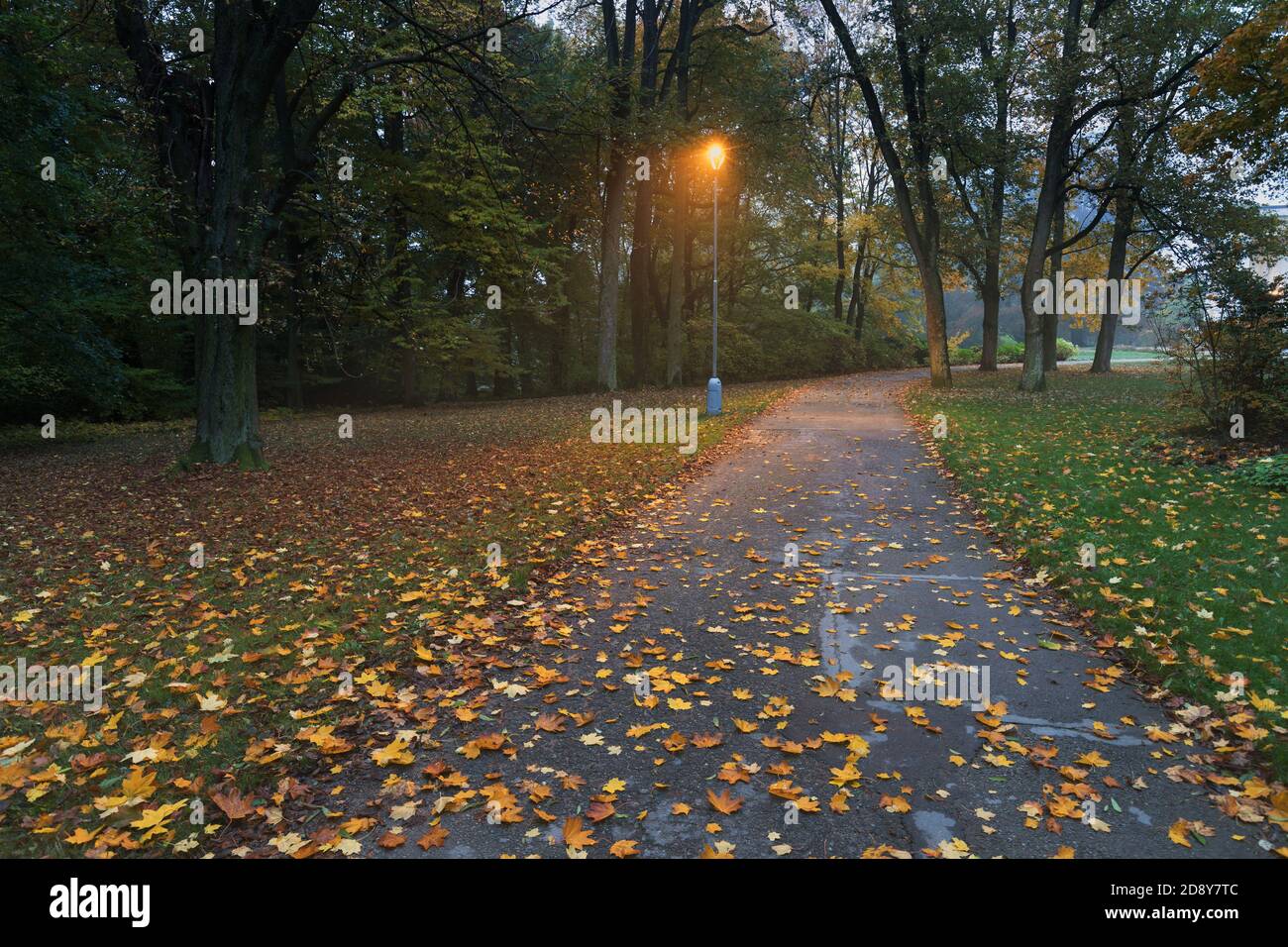 Night view : landscape of alleyway with street lamps at misty night ...