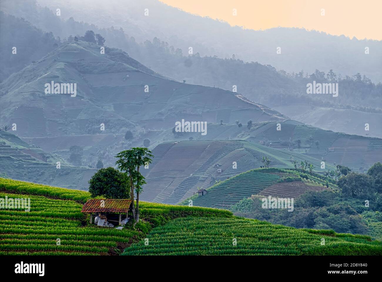 Majalengka hi-res stock photography and images - Alamy