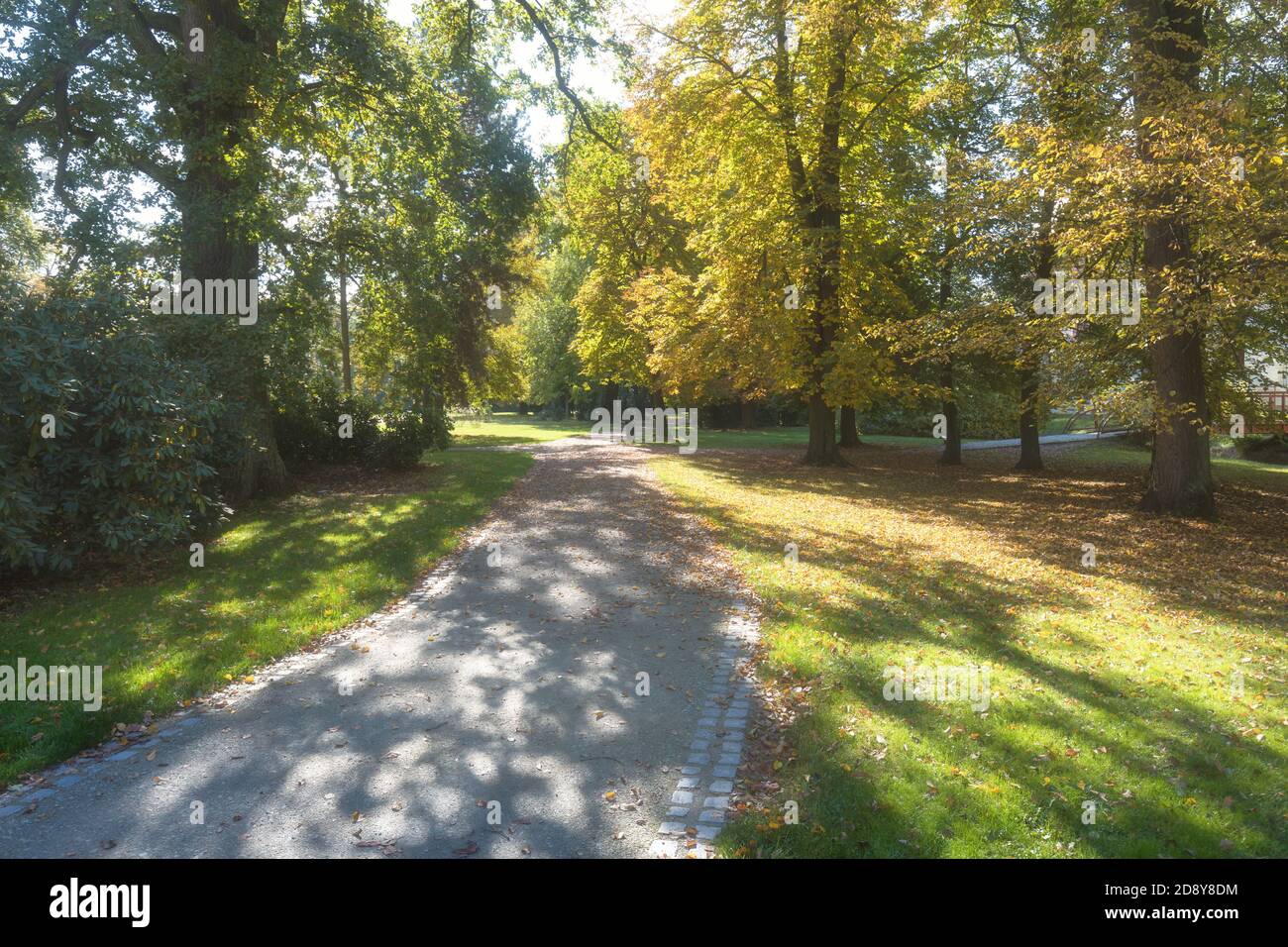 Beautiful autumn park. Autumn trees and leaves. Panorama of a stunning ...