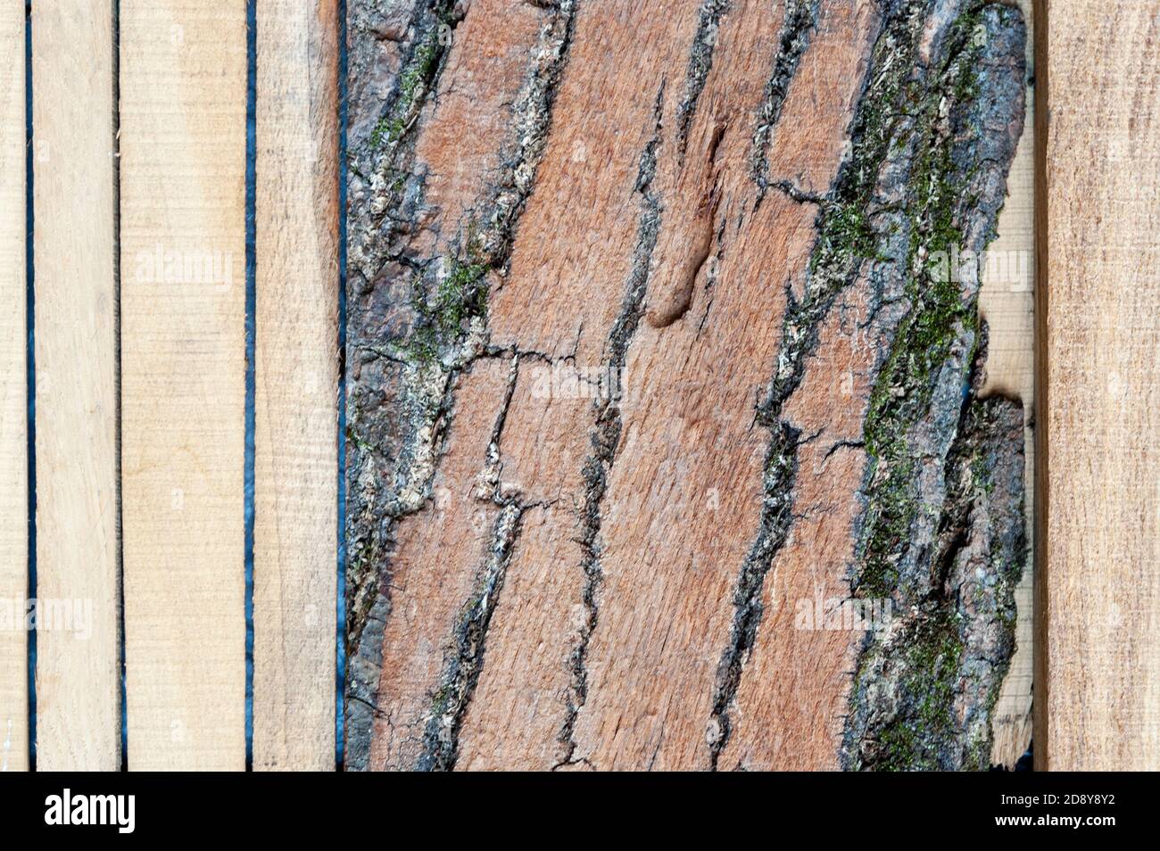 Background of natural board with a beautiful pattern of tree structure ...