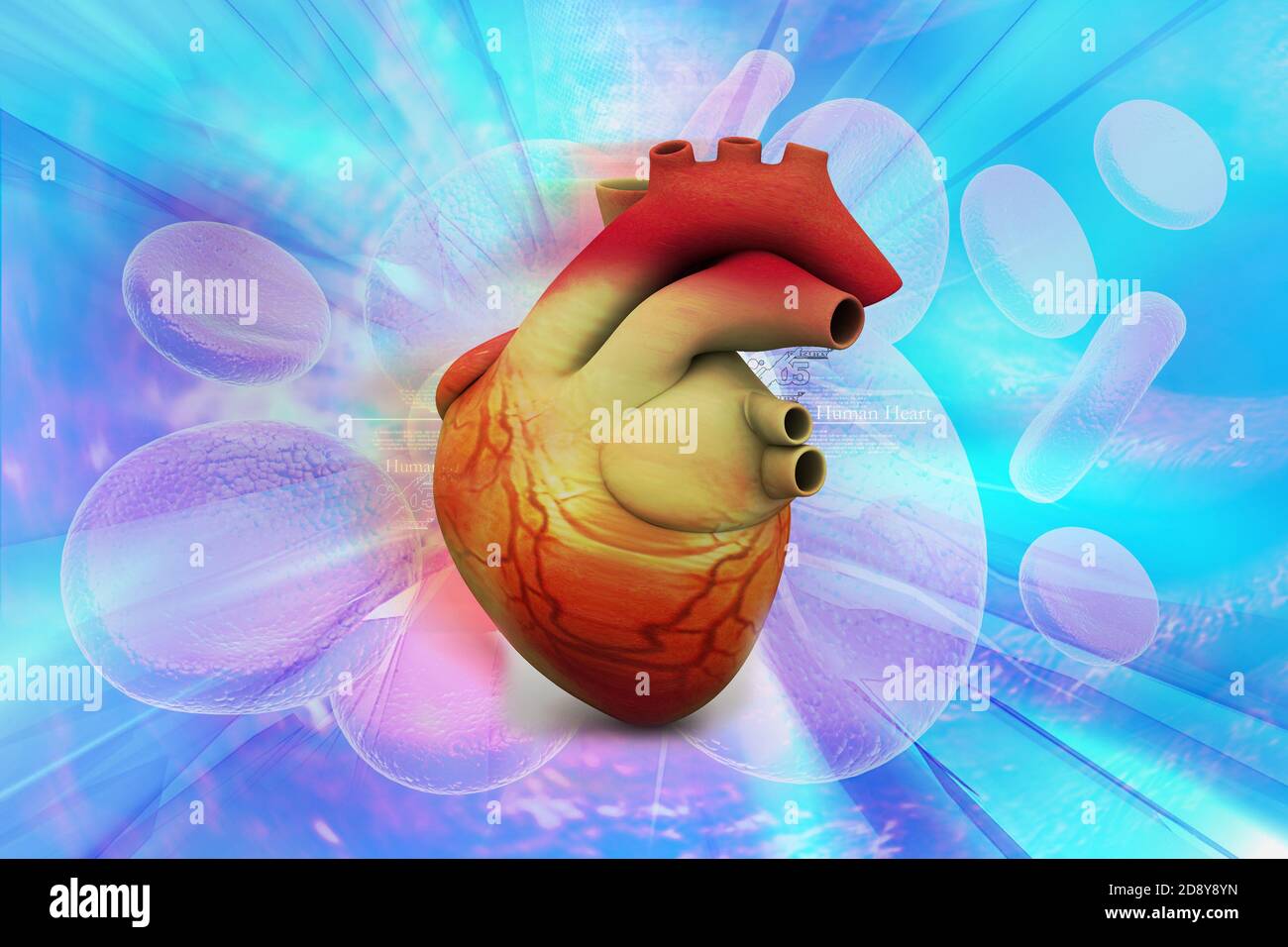 Digital illustration of Human heart in abstract medical background ...