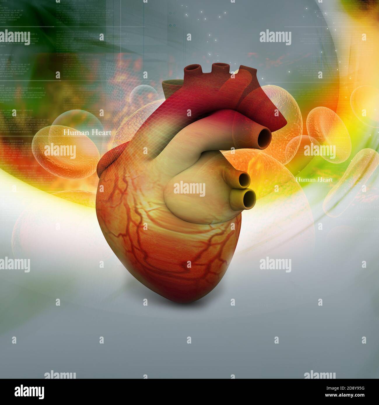 Digital illustration of Human heart in abstract background Stock Photo ...