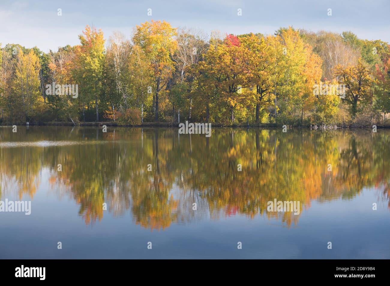 Nature rural pond water in autumn landscape Beautiful lake in the ...