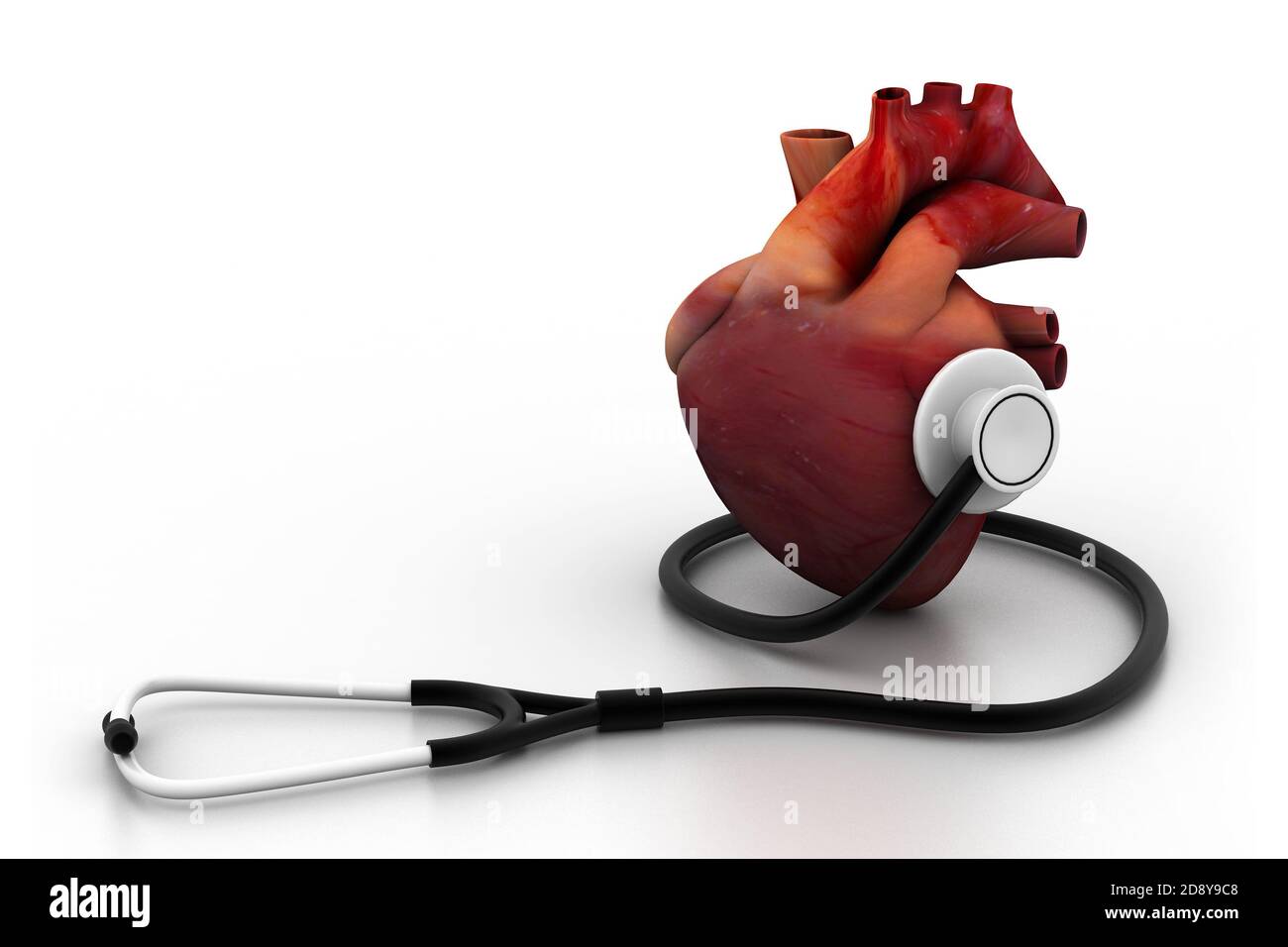 Human heart and stethoscope Stock Photo - Alamy