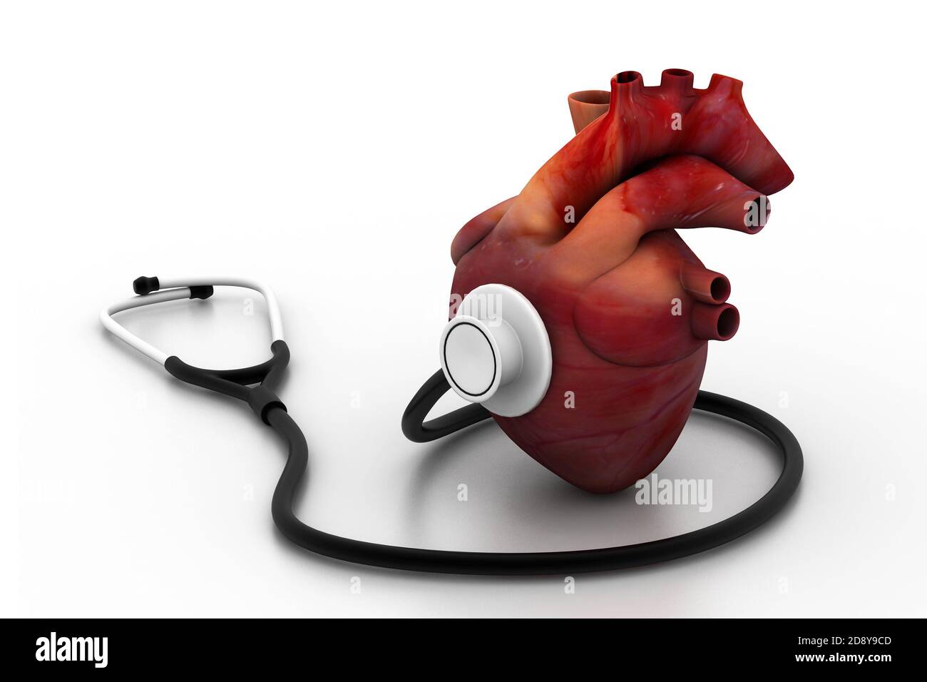 Human heart and stethoscope Stock Photo - Alamy