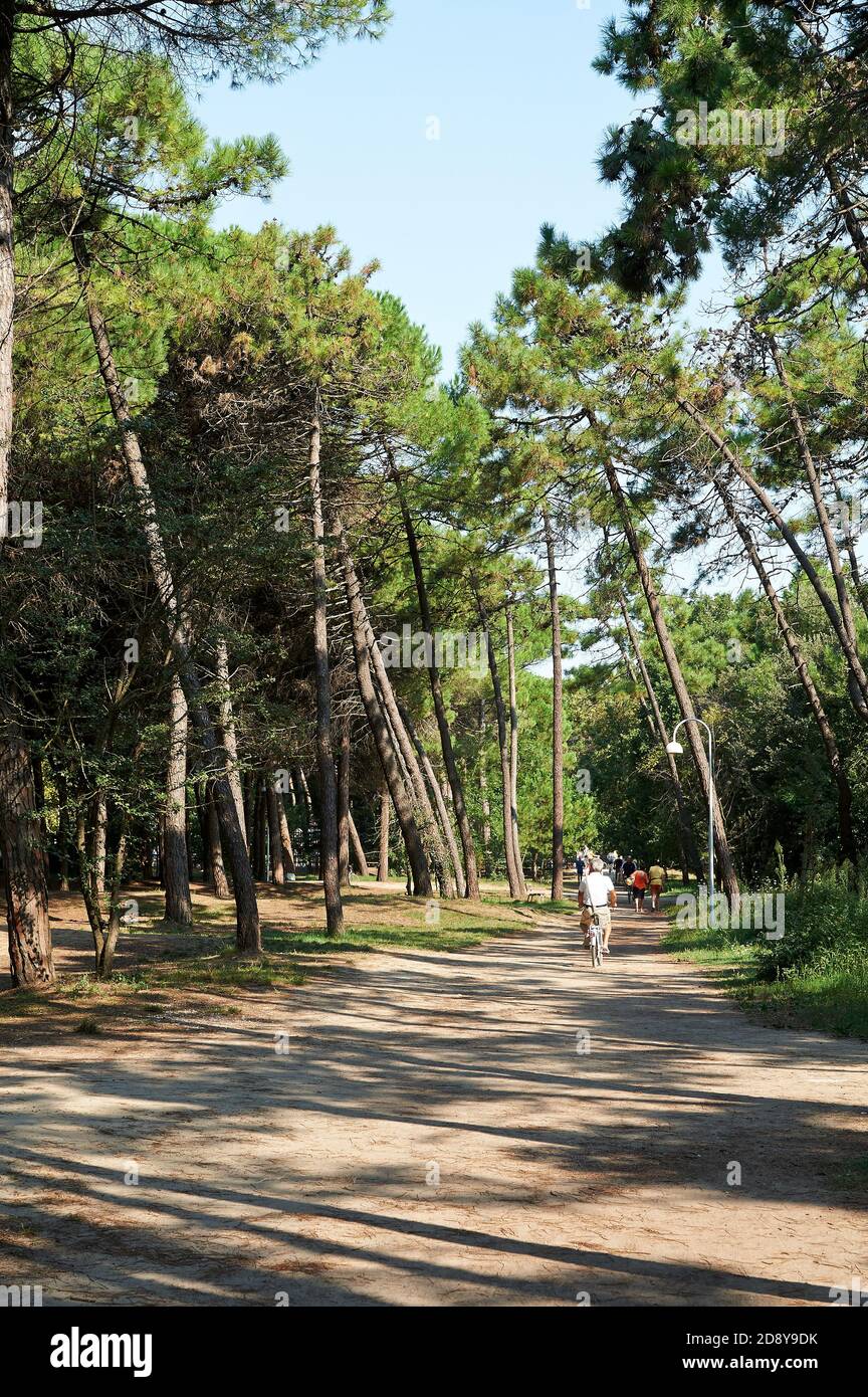 Pinarella hi-res stock photography and images - Alamy