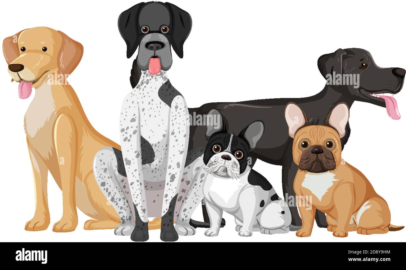 Many cute dogs in a group isolated on white background illustration ...