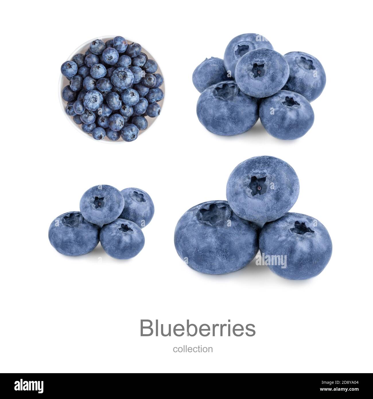 Fresh Blueberries collection isolated on white background. Wild orest ...
