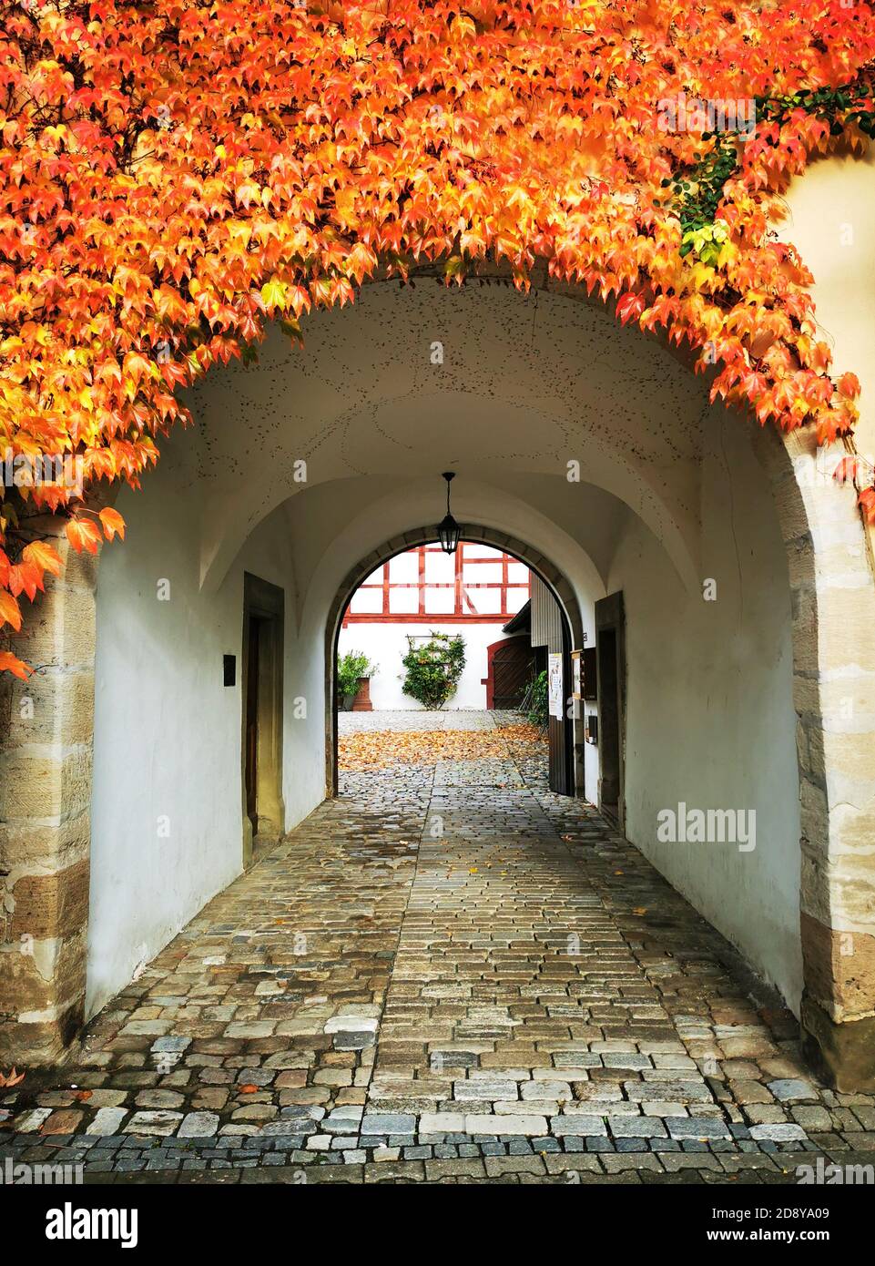 archway of a historic building, framed by red and golden autumn leaves ...