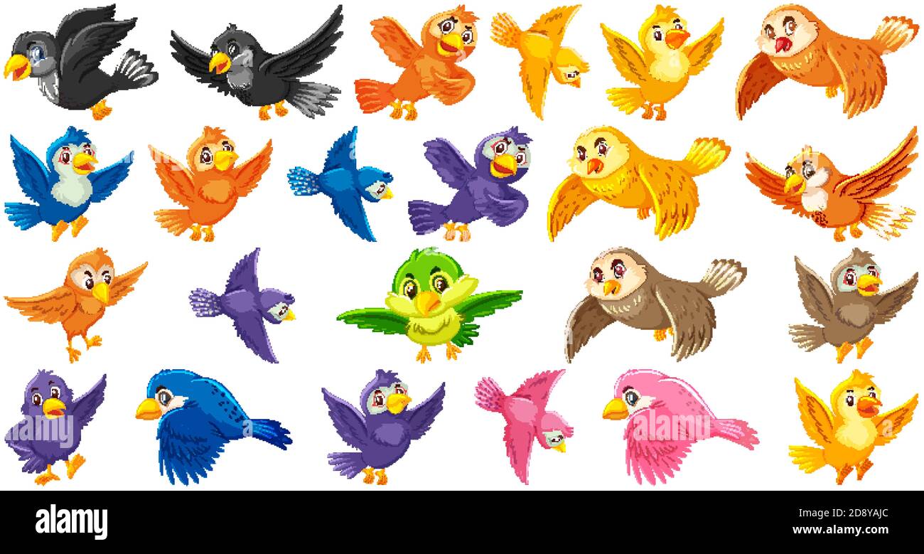Set of bird cartoon character illustration Stock Vector Image & Art - Alamy