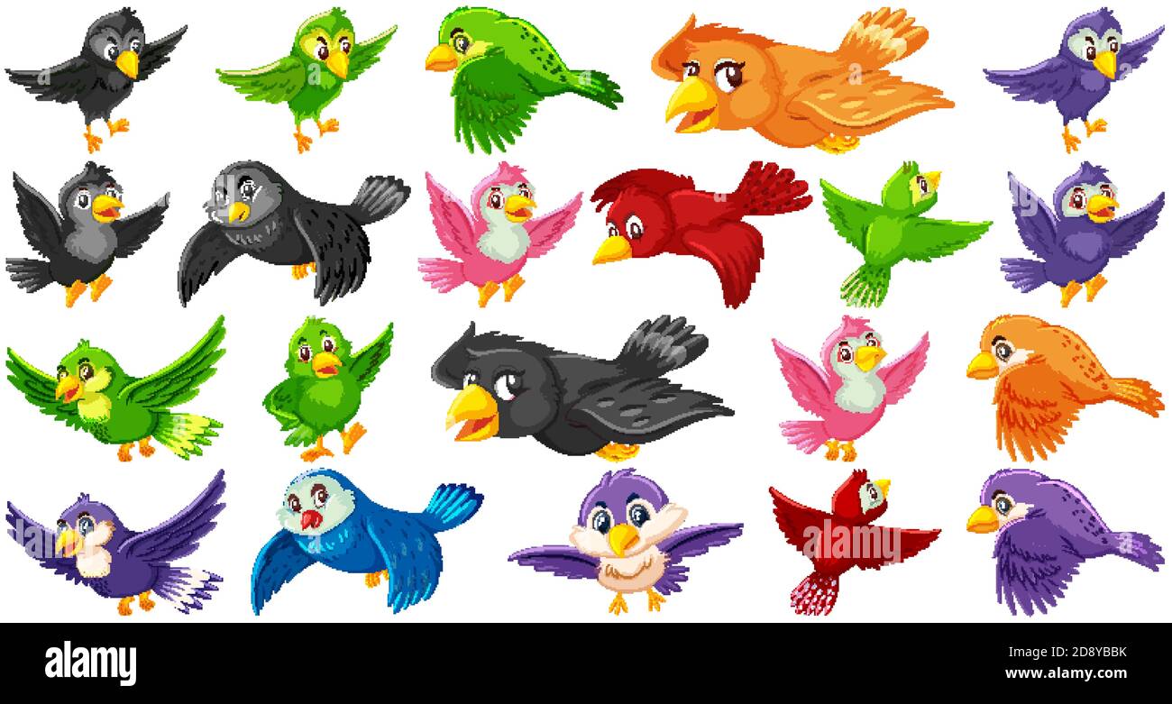 Set of bird cartoon character illustration Stock Vector Image & Art - Alamy