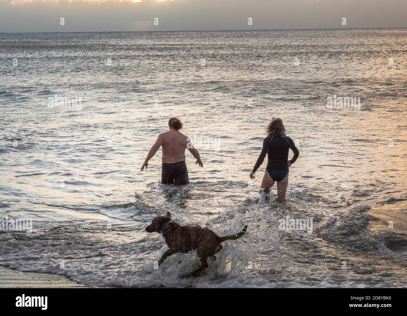 Mark desmond hi-res stock photography and images - Alamy