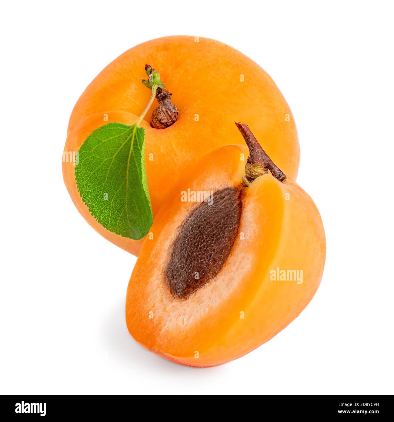 Apricot isolated fresh leaves hi-res stock photography and images - Alamy