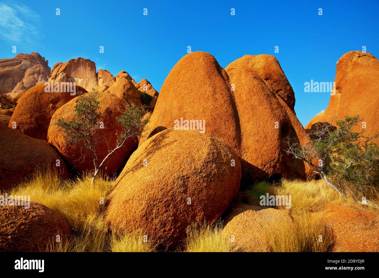African landscapes -hot yellow bush, stines, trees and blue sky ...