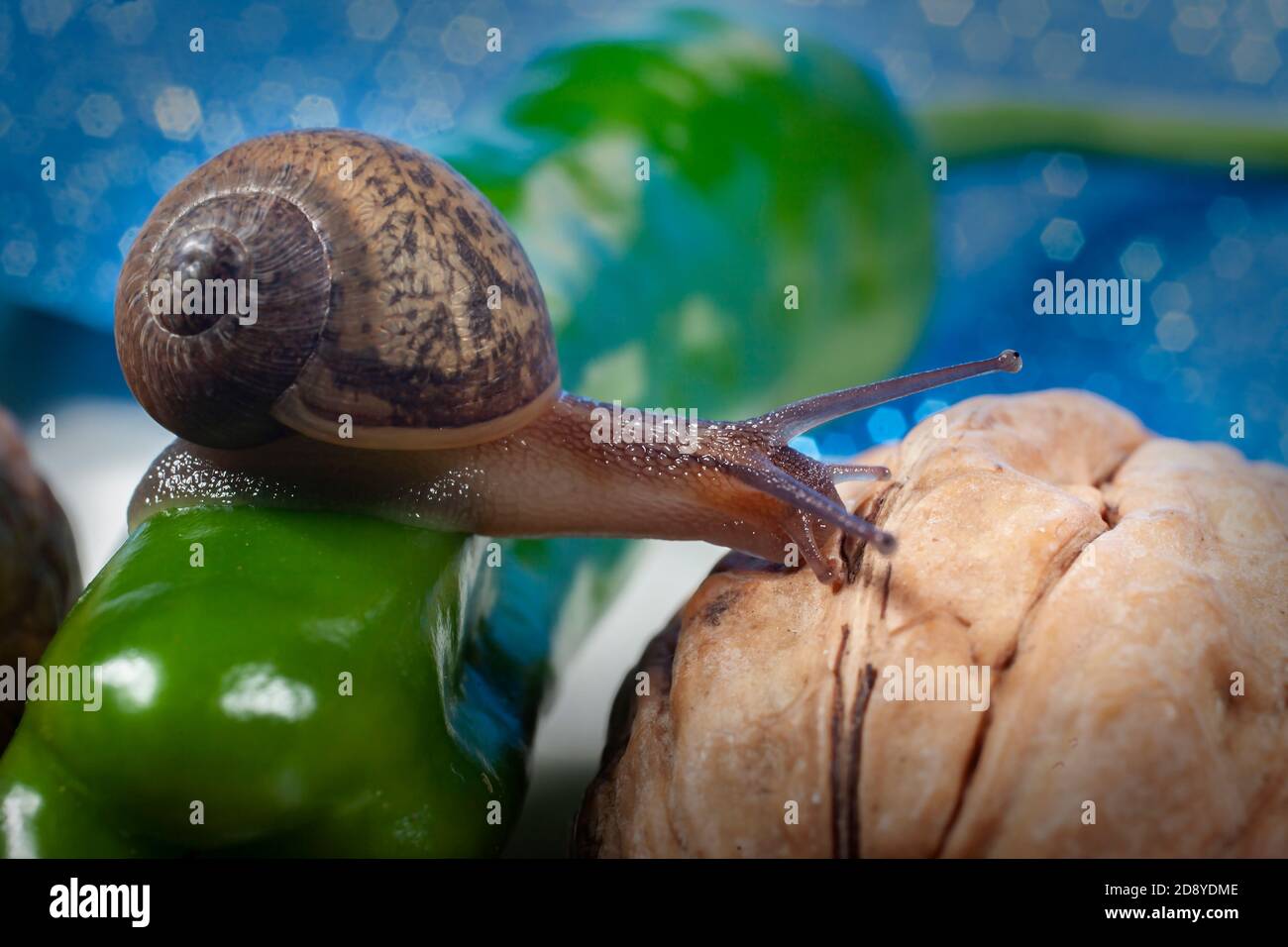 Pondicherry auroville hi-res stock photography and images - Alamy