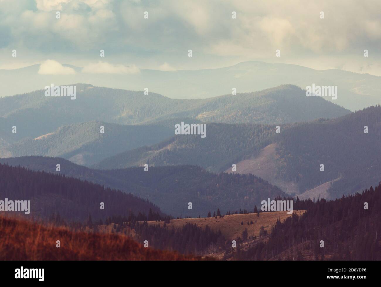 Beautiful natural landscapes in Carpathian mountains Stock Photo - Alamy