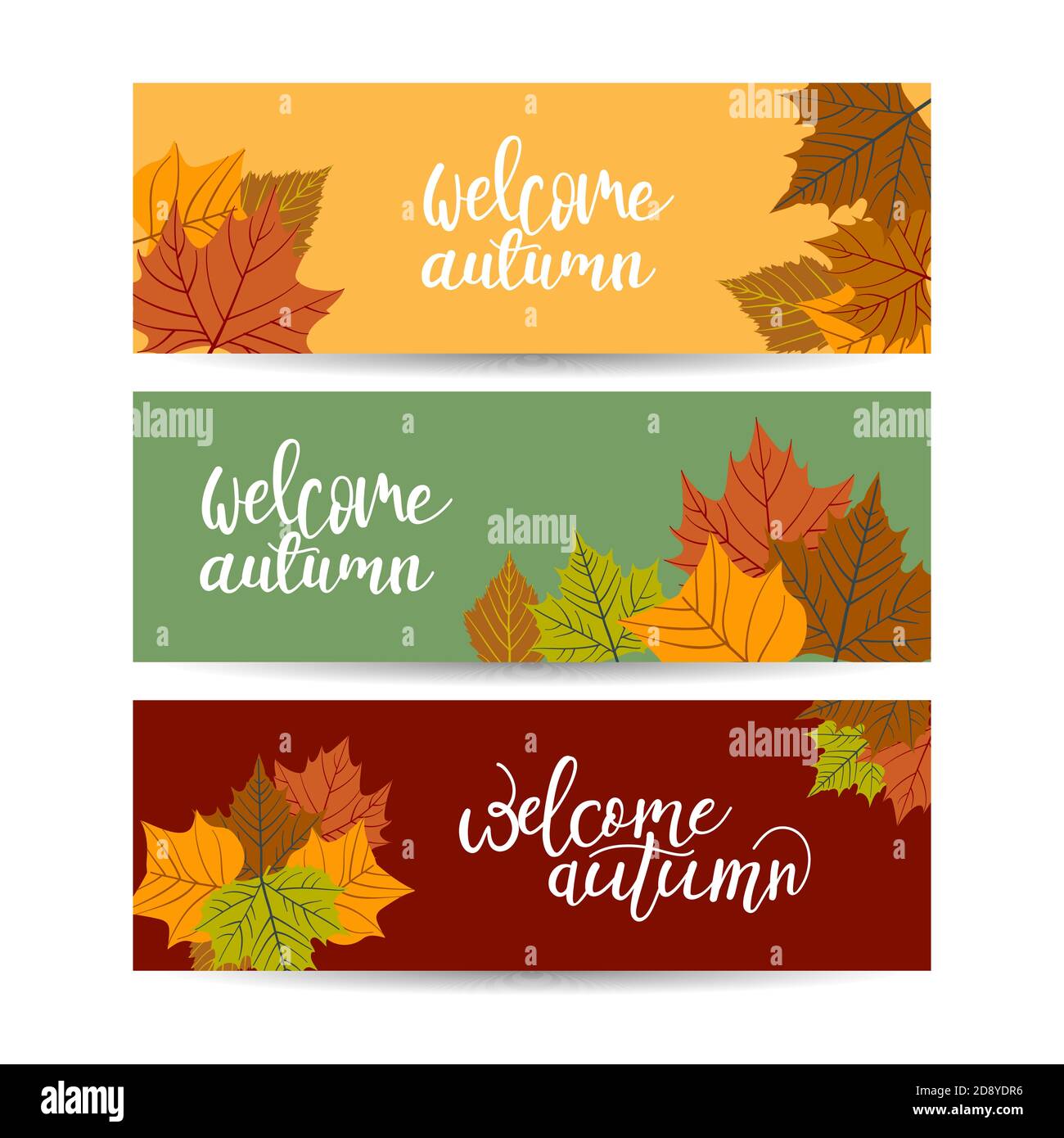 Fall Leaves Banner