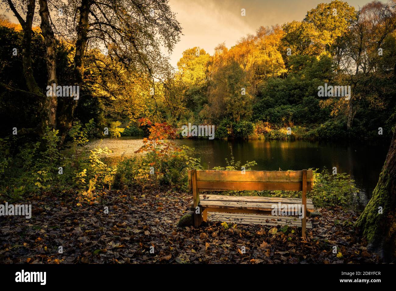 Fishpond Wood Bench Stock Photo - Alamy
