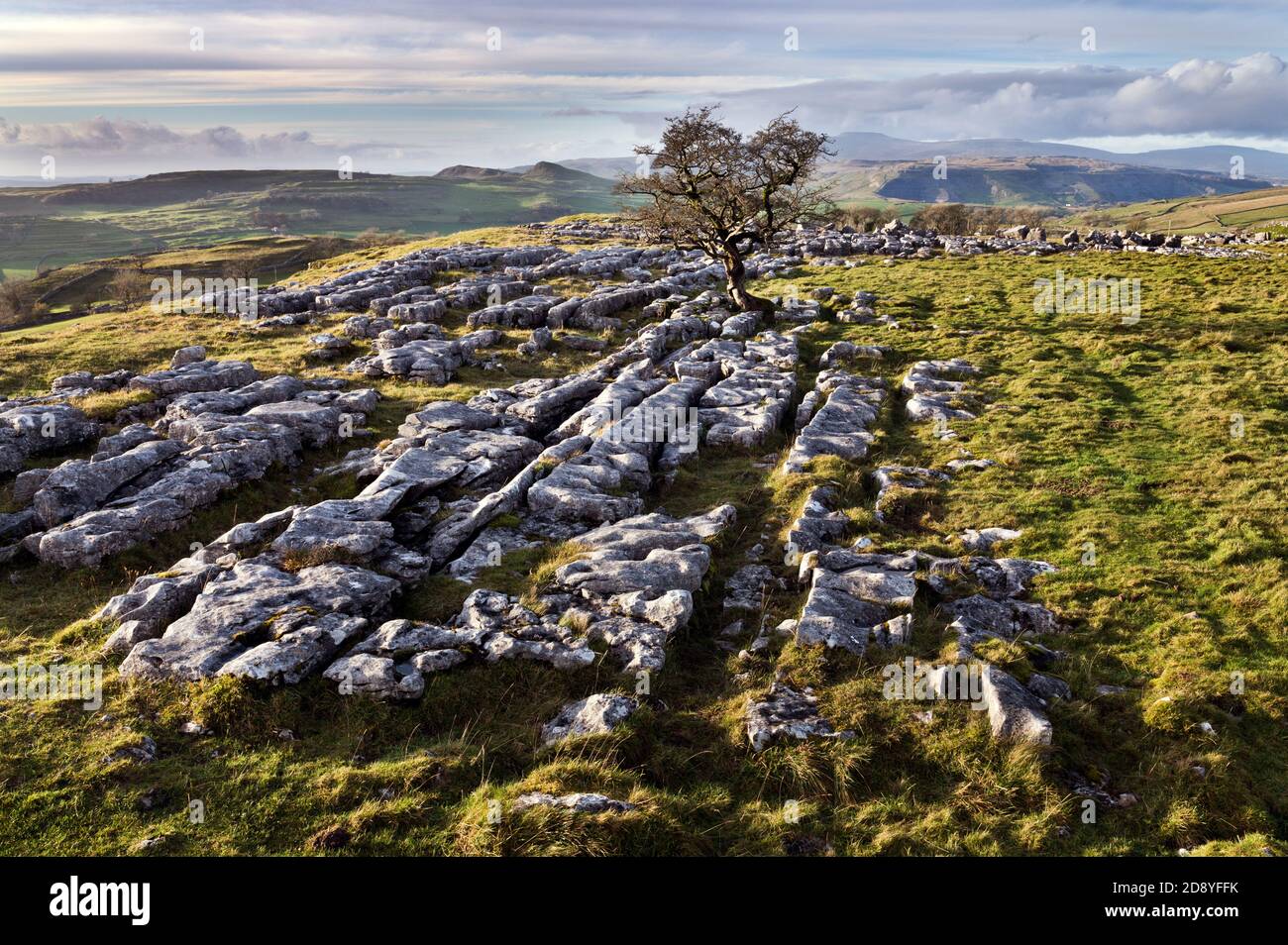 Pavement stones hi-res stock photography and images - Alamy
