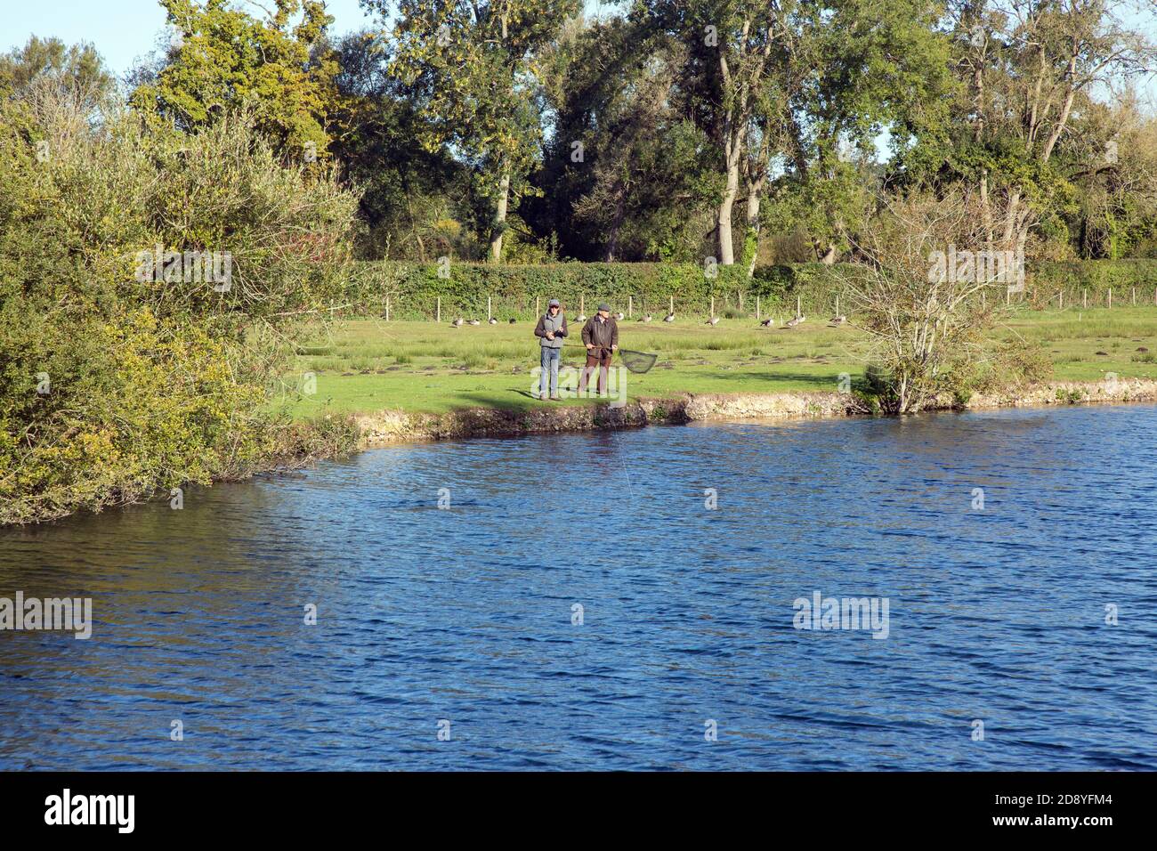 Testwood hi-res stock photography and images - Alamy