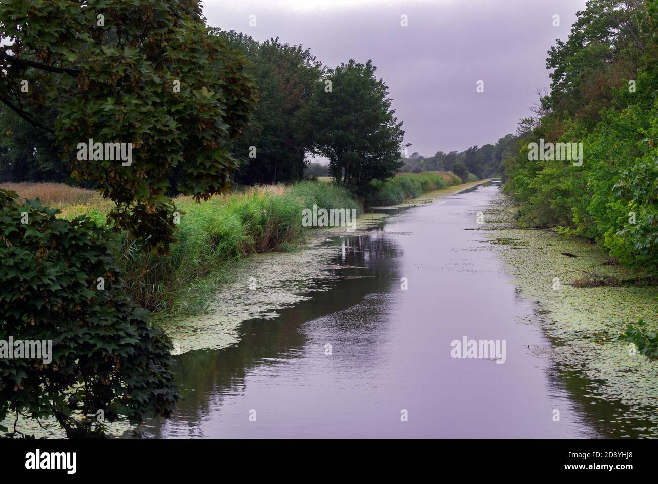Royal military canal hi-res stock photography and images - Alamy