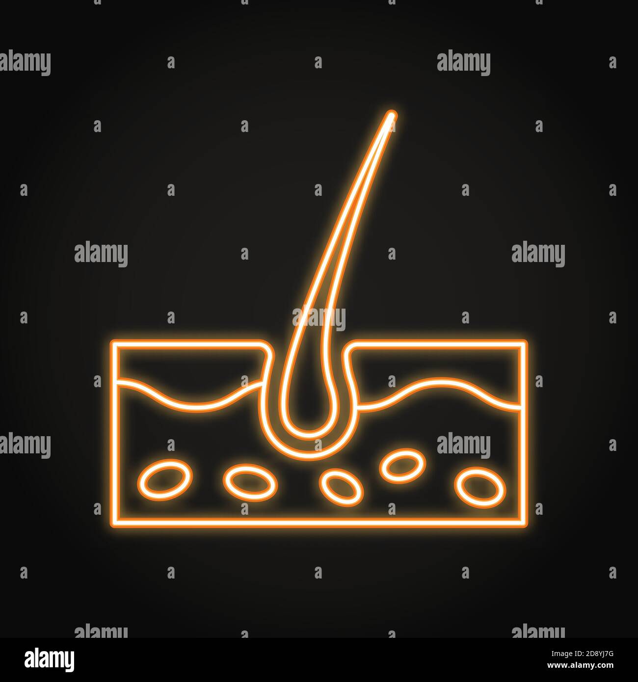 Human skin tissue Stock Vector Images - Alamy