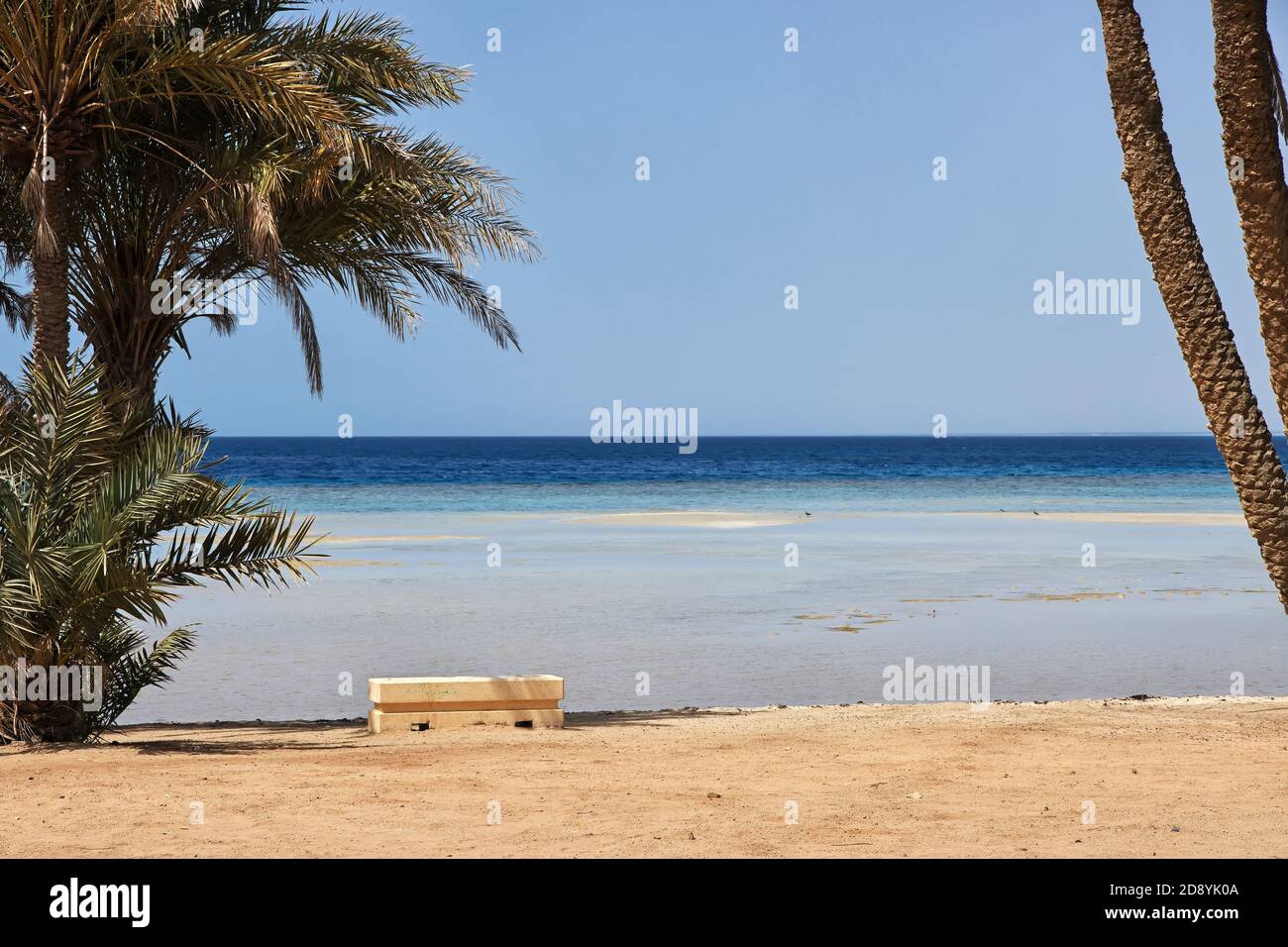 The beach of Red sea, Saudi arabia Stock Photo - Alamy