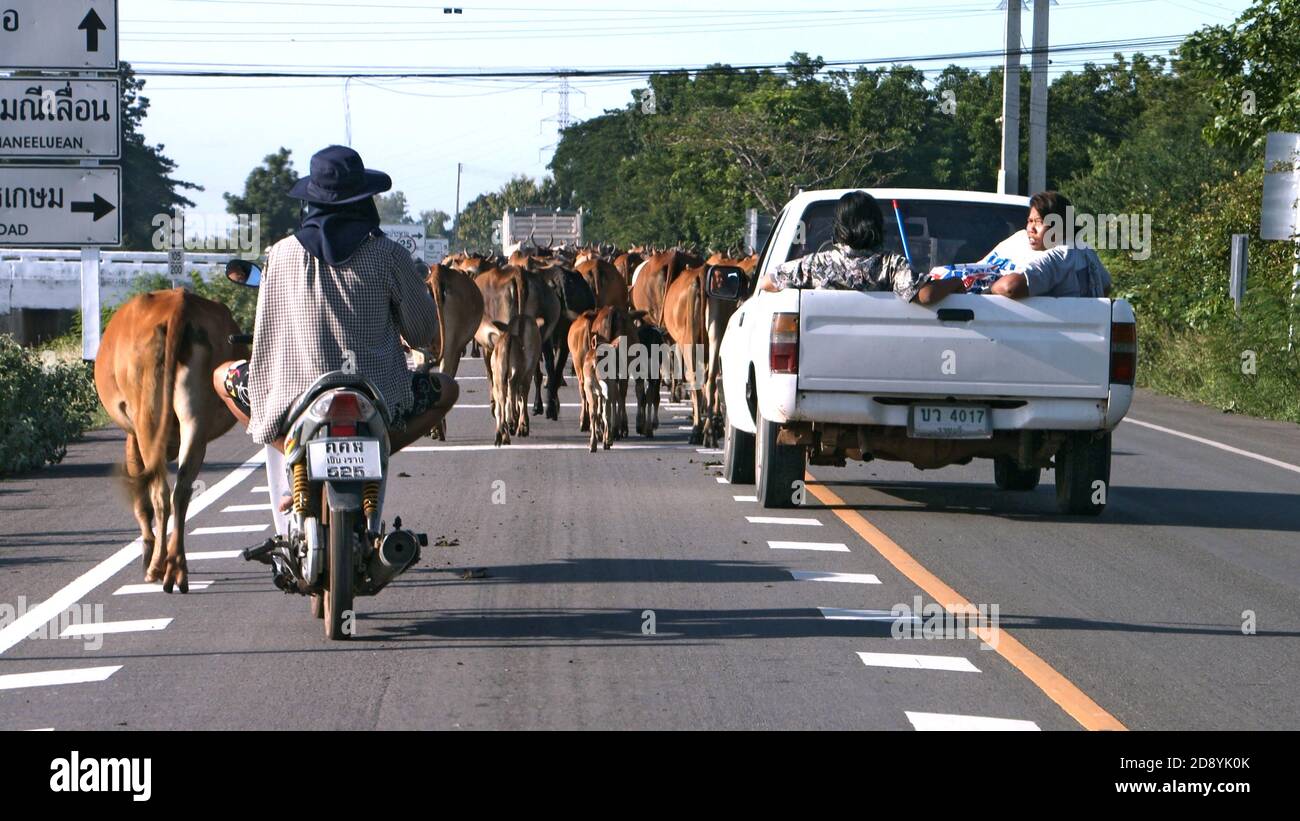 Slowly walking on country road hi-res stock photography and images - Alamy