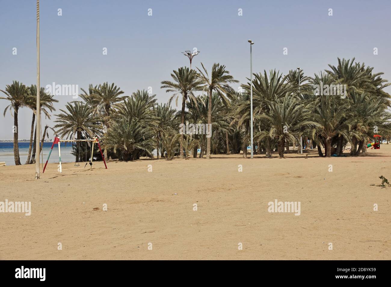 The beach of Red sea, Saudi arabia Stock Photo - Alamy