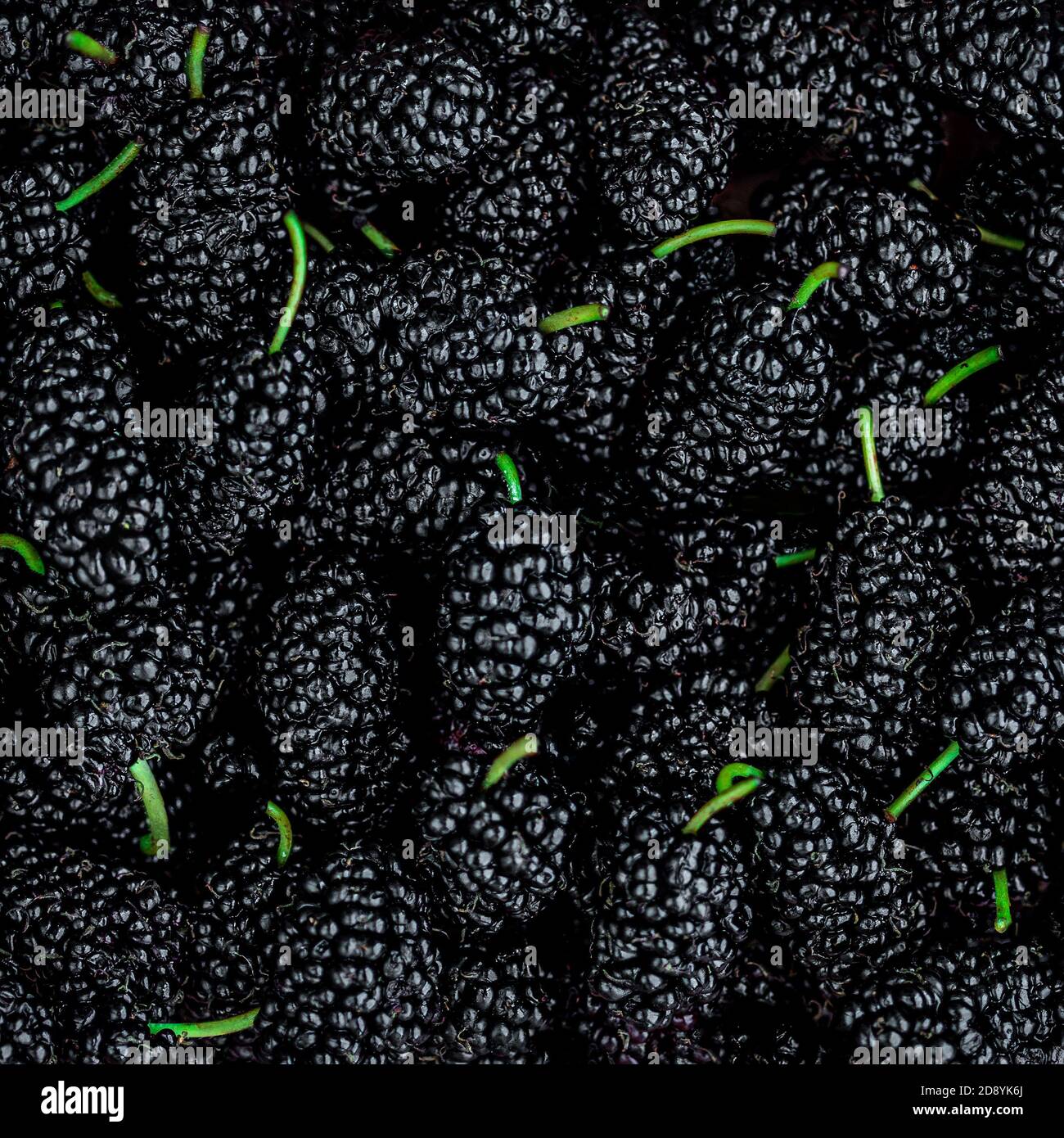 Mulberry background. View from above. Mulberries Wallpaper. Summer ...