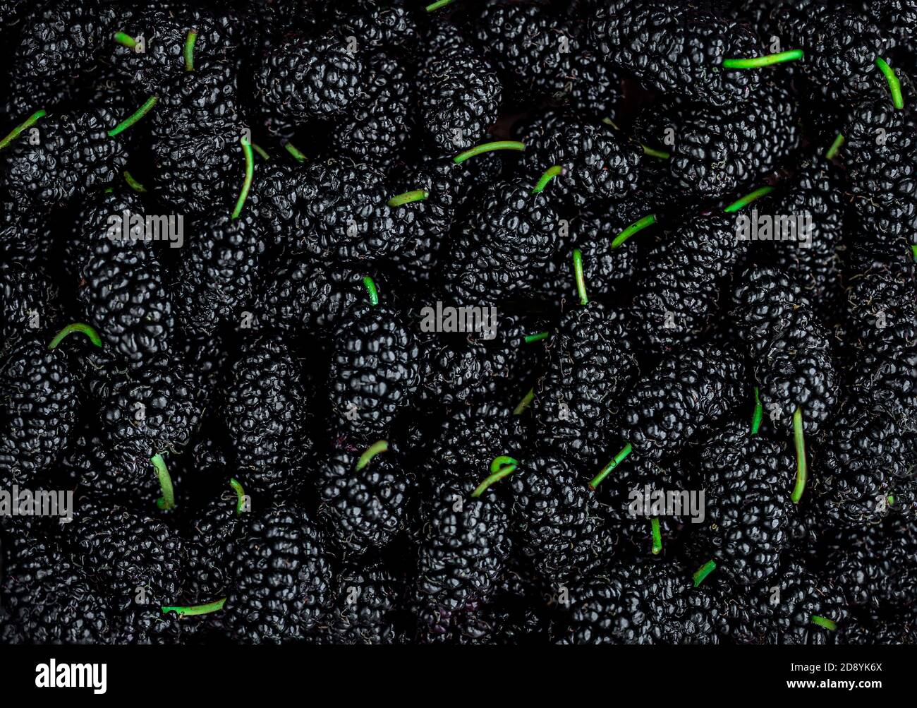 Mulberry Fruit Wallpaper