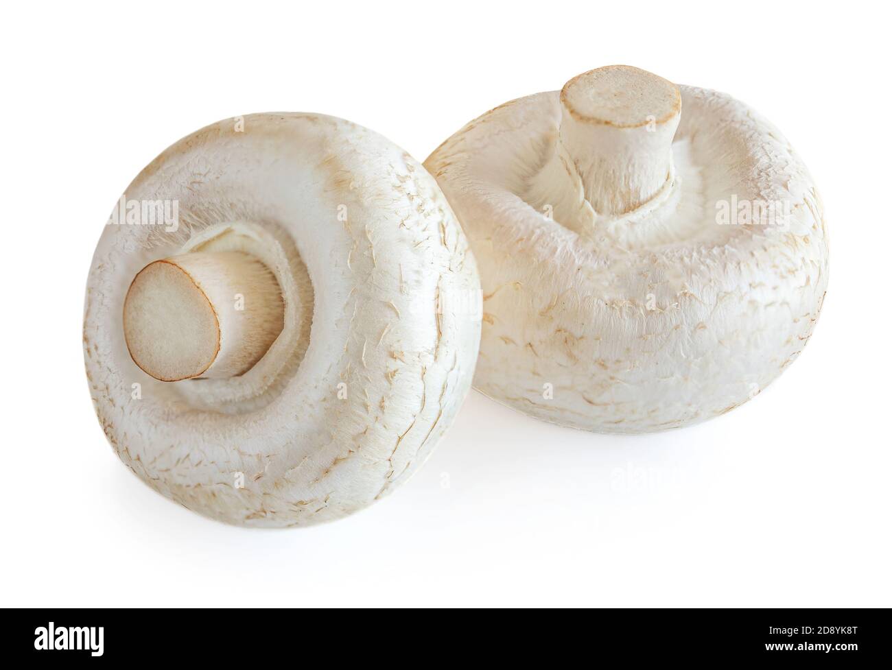 Fresh champignon mushrooms isolated on white background. Two ...