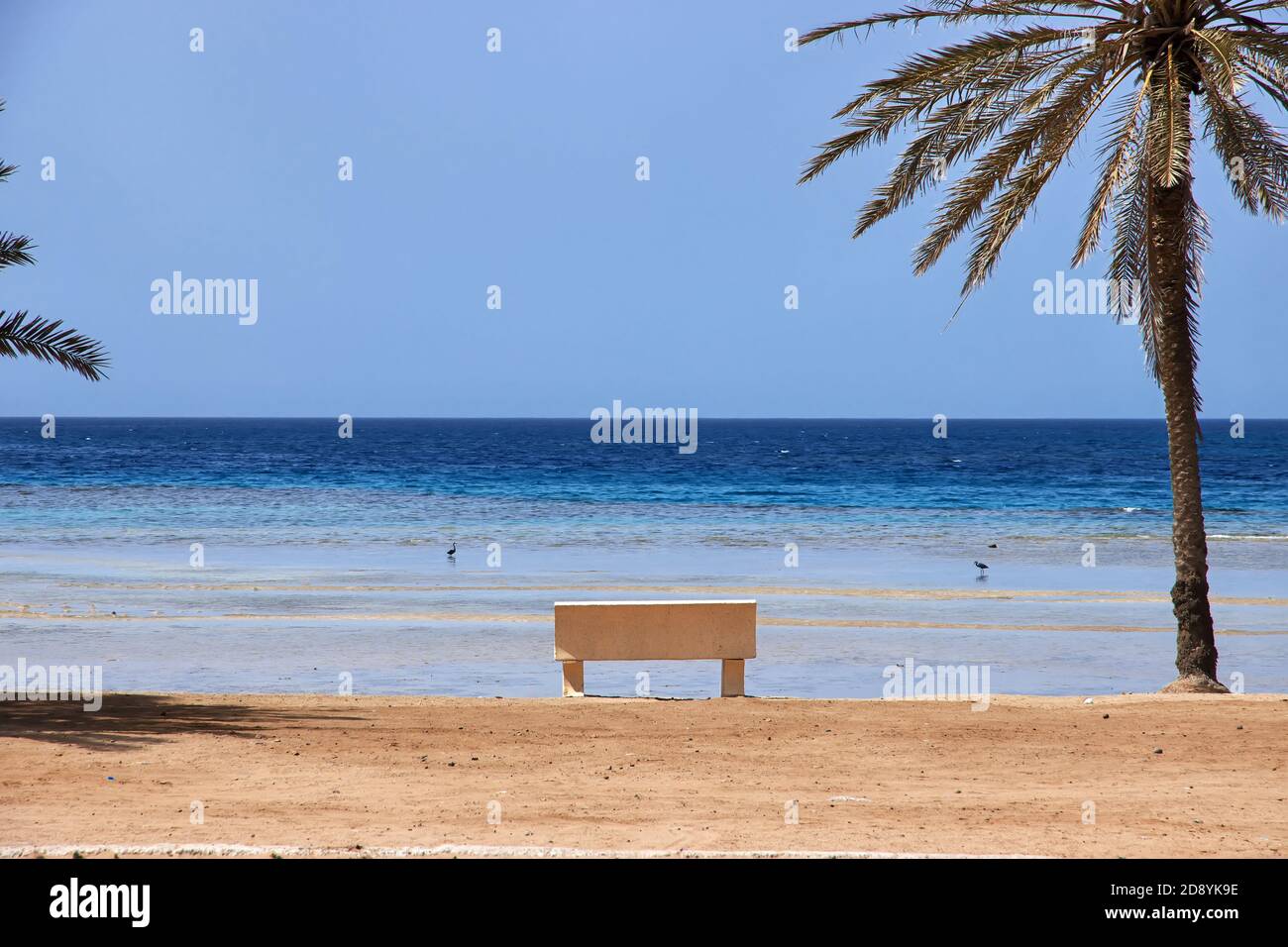 The beach of Red sea, Saudi arabia Stock Photo - Alamy