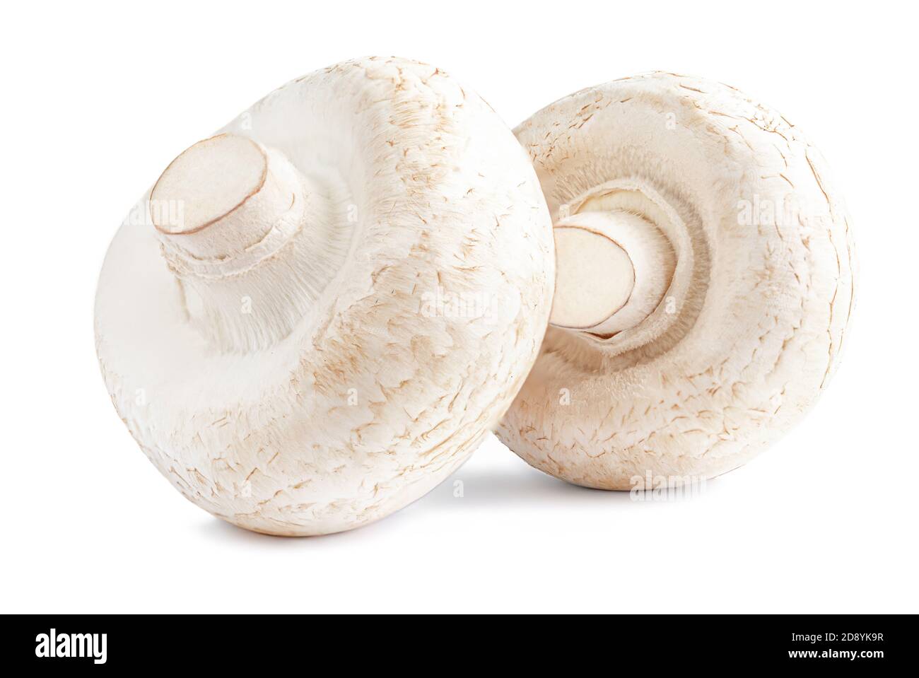 Fresh champignon mushrooms isolated on white background. Two ...