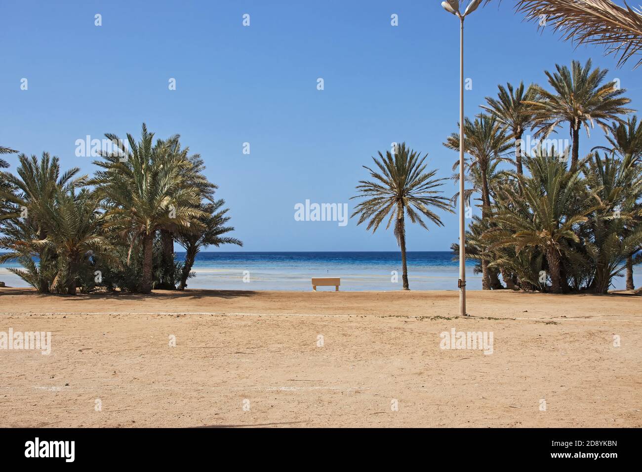 The beach of Red sea, Saudi arabia Stock Photo - Alamy