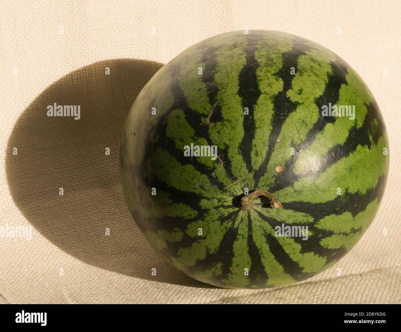 Whole watermelon hi-res stock photography and images - Alamy