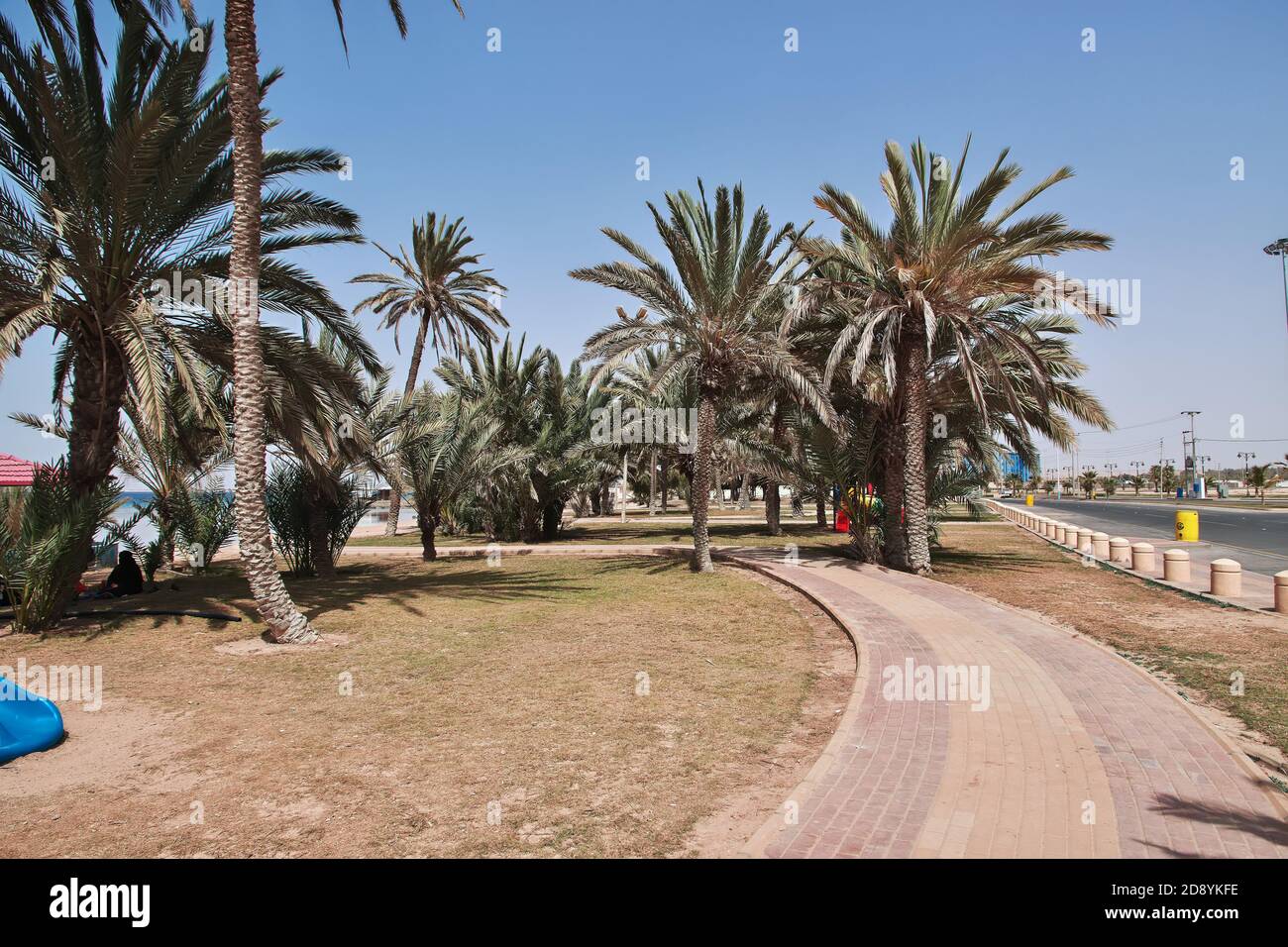 The beach of Red sea, Saudi arabia Stock Photo - Alamy