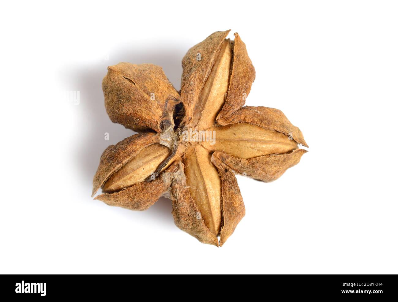 Inca Peanuts Whole Foods