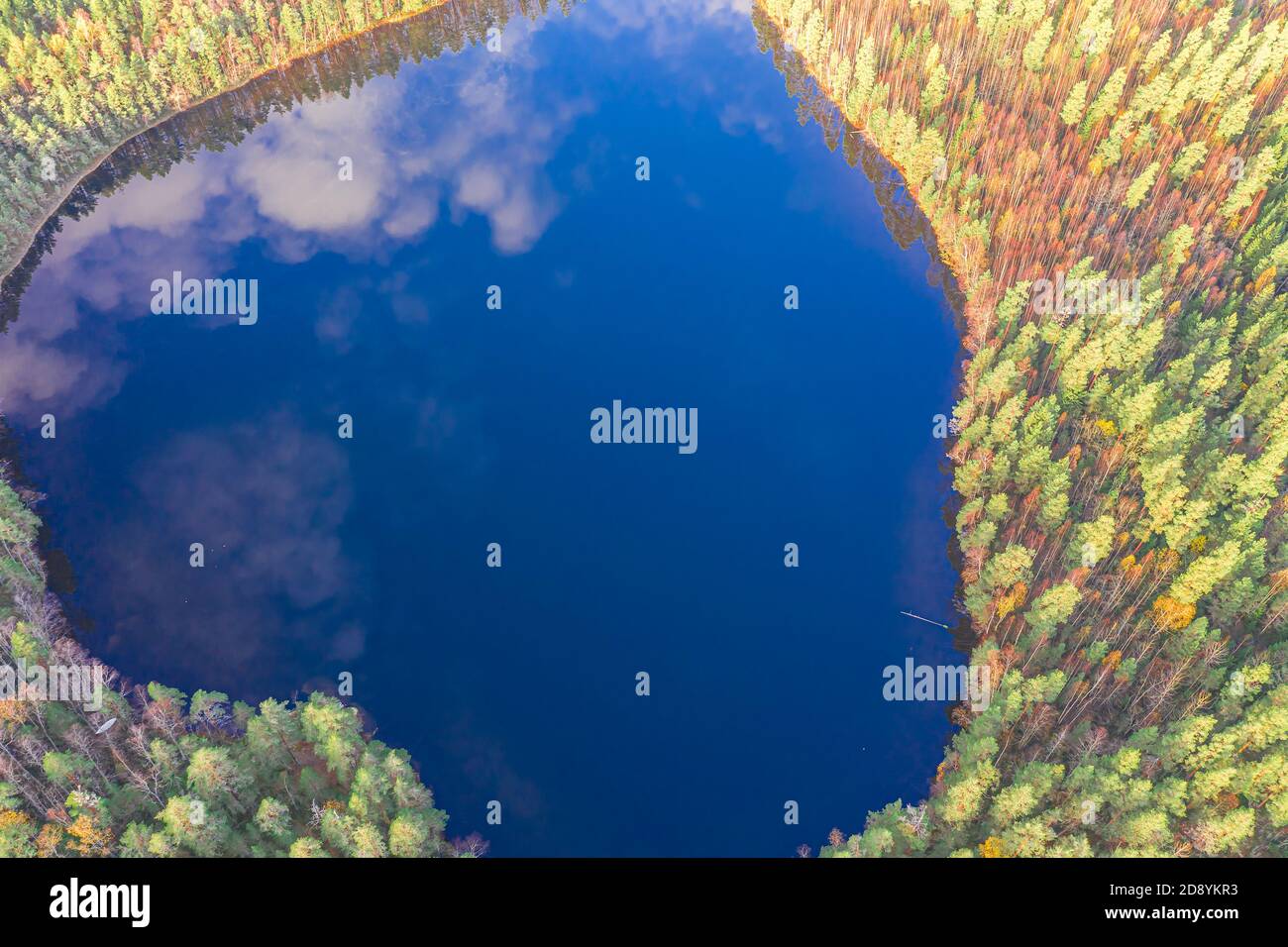 Heart-shaped lake with blue water and green and dense pine forest ...