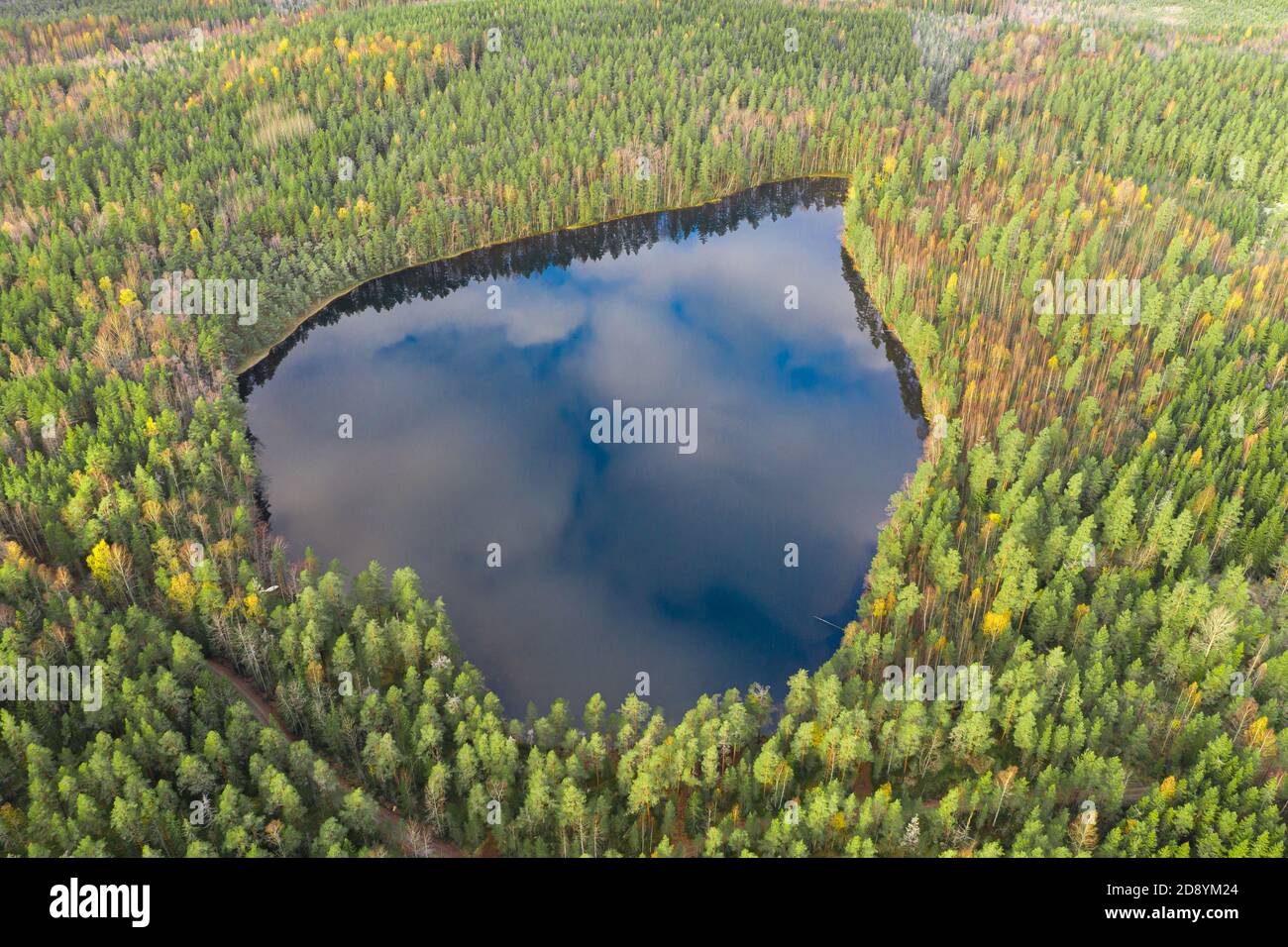 Heart-shaped lake with blue water and green and dense pine forest ...