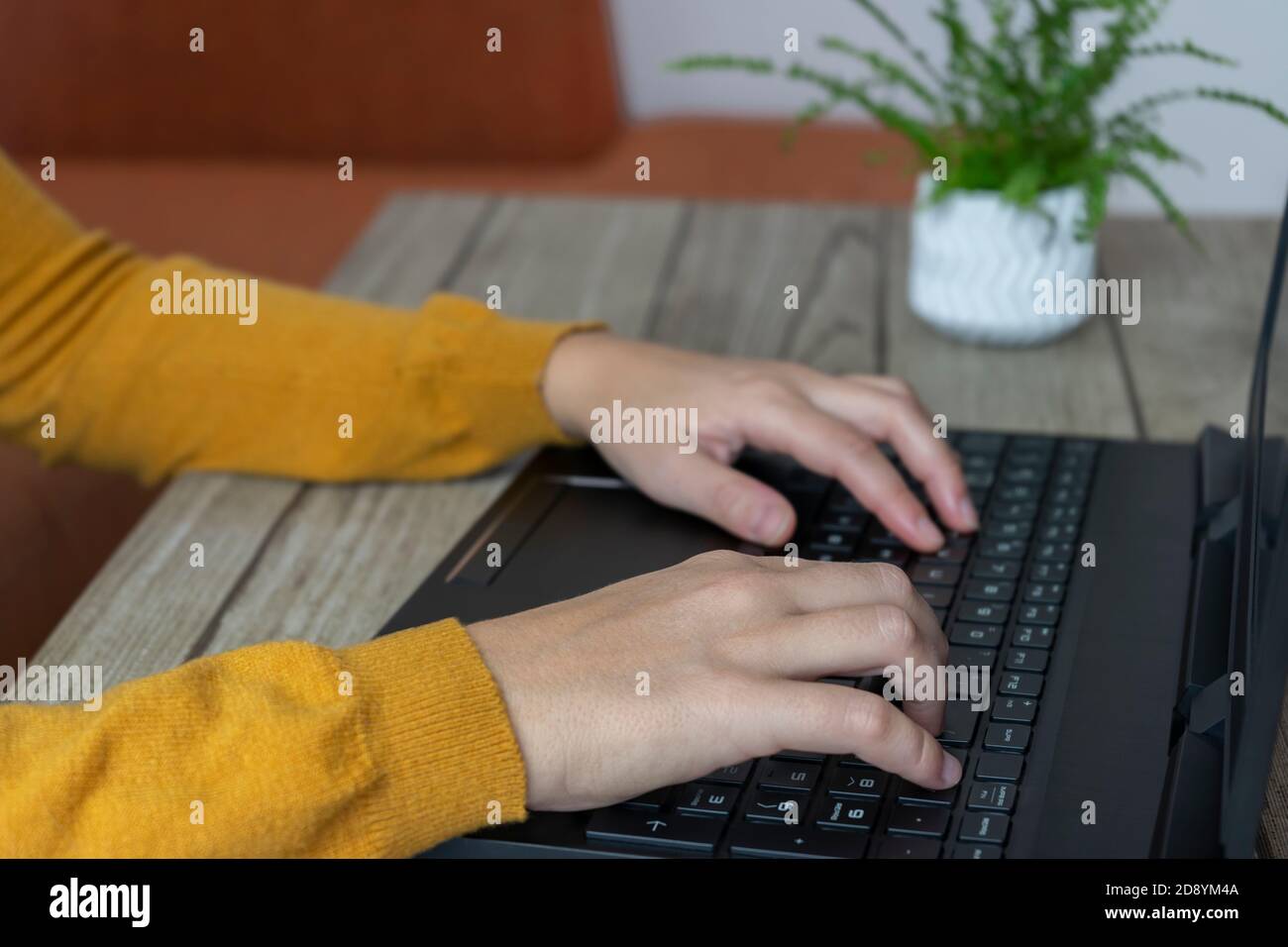 Woman hands typing hi-res stock photography and images - Alamy