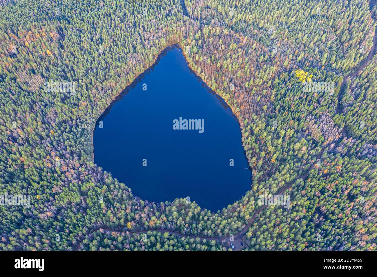 Heart-shaped lake with blue water and green and dense pine forest ...