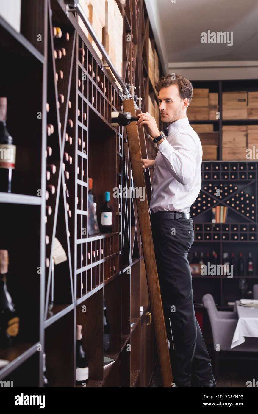 Side view of sommelier holding bottle of wine while standing on ladder ...