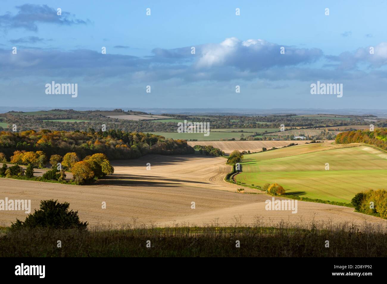 Typical english countryside hi-res stock photography and images - Alamy