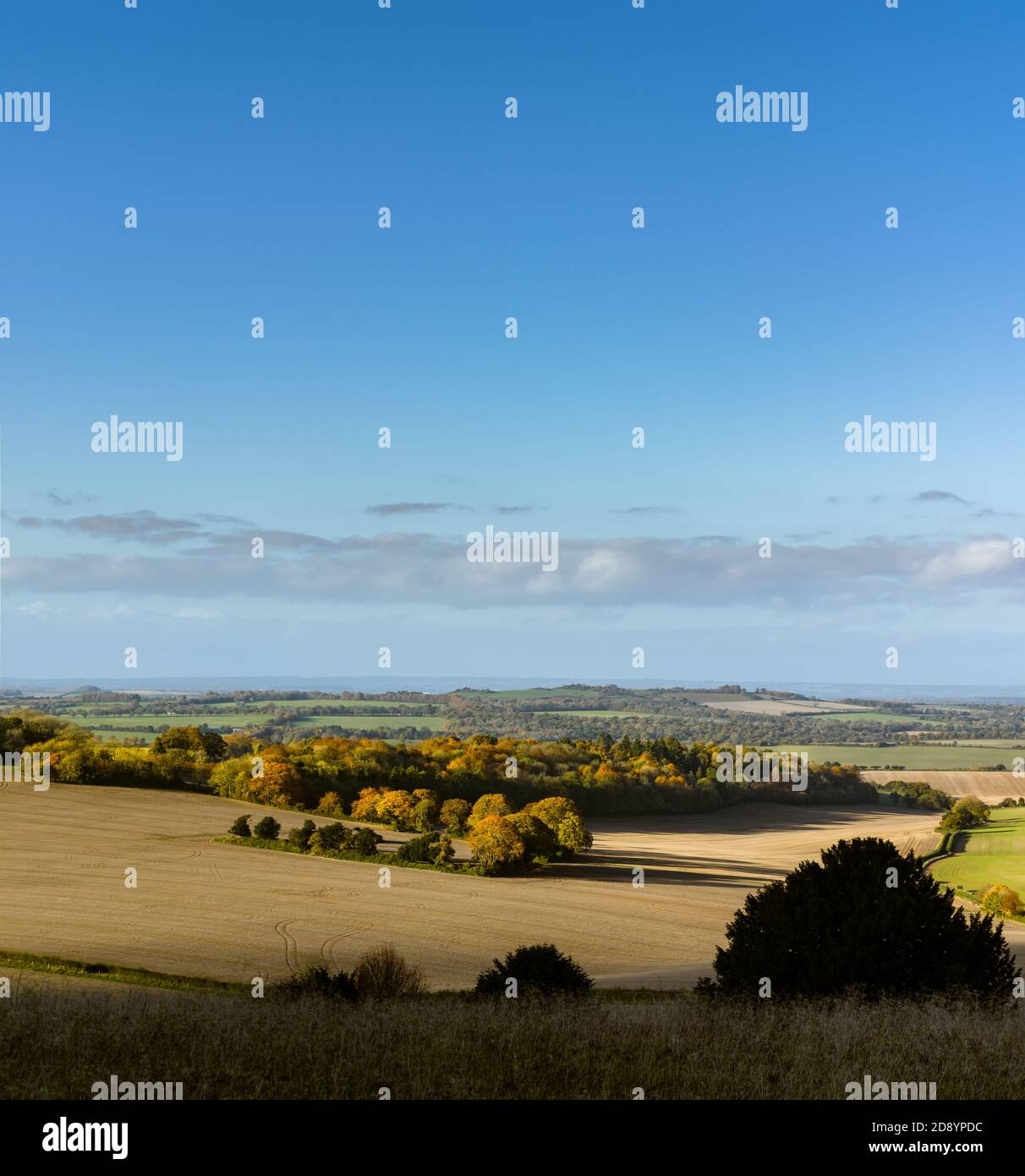 Late afternoon light on a typical English countryside scene in autumn ...