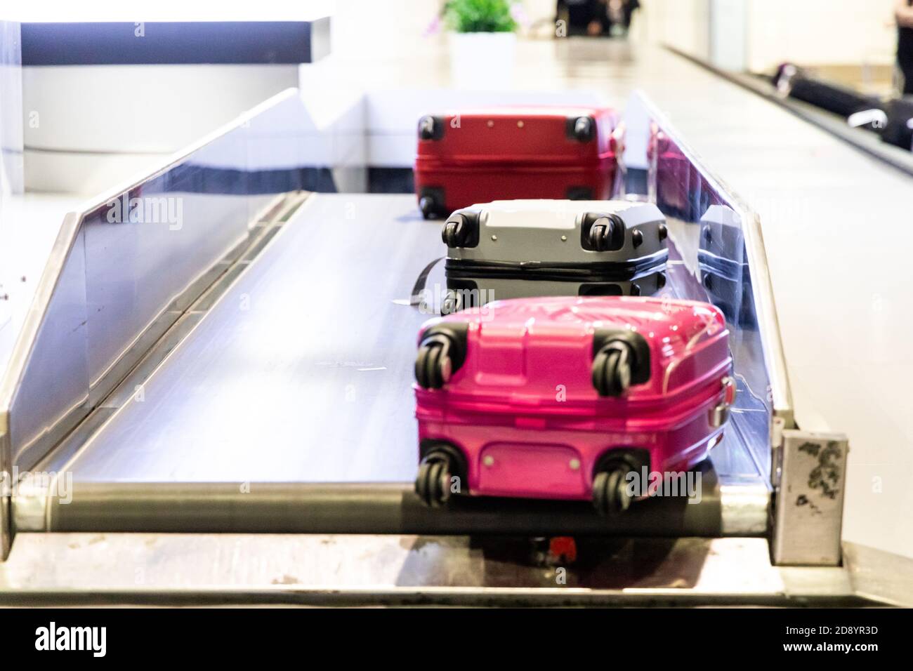 Baggage Carousel Belt at Eva Gopinko blog