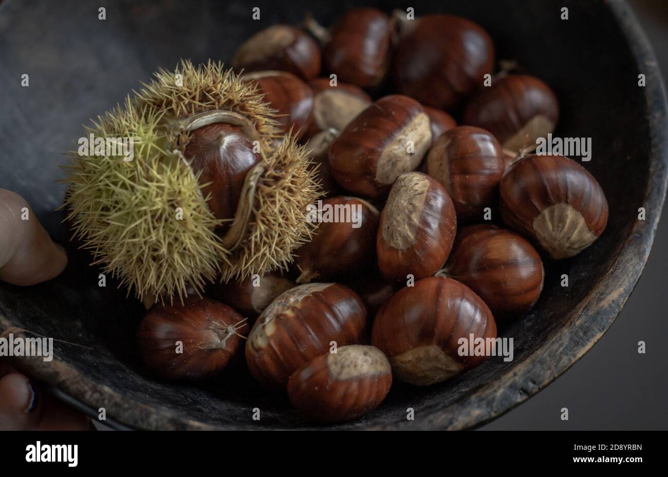 sweet chestnuts rustic composition with opened cupula on daylight ...