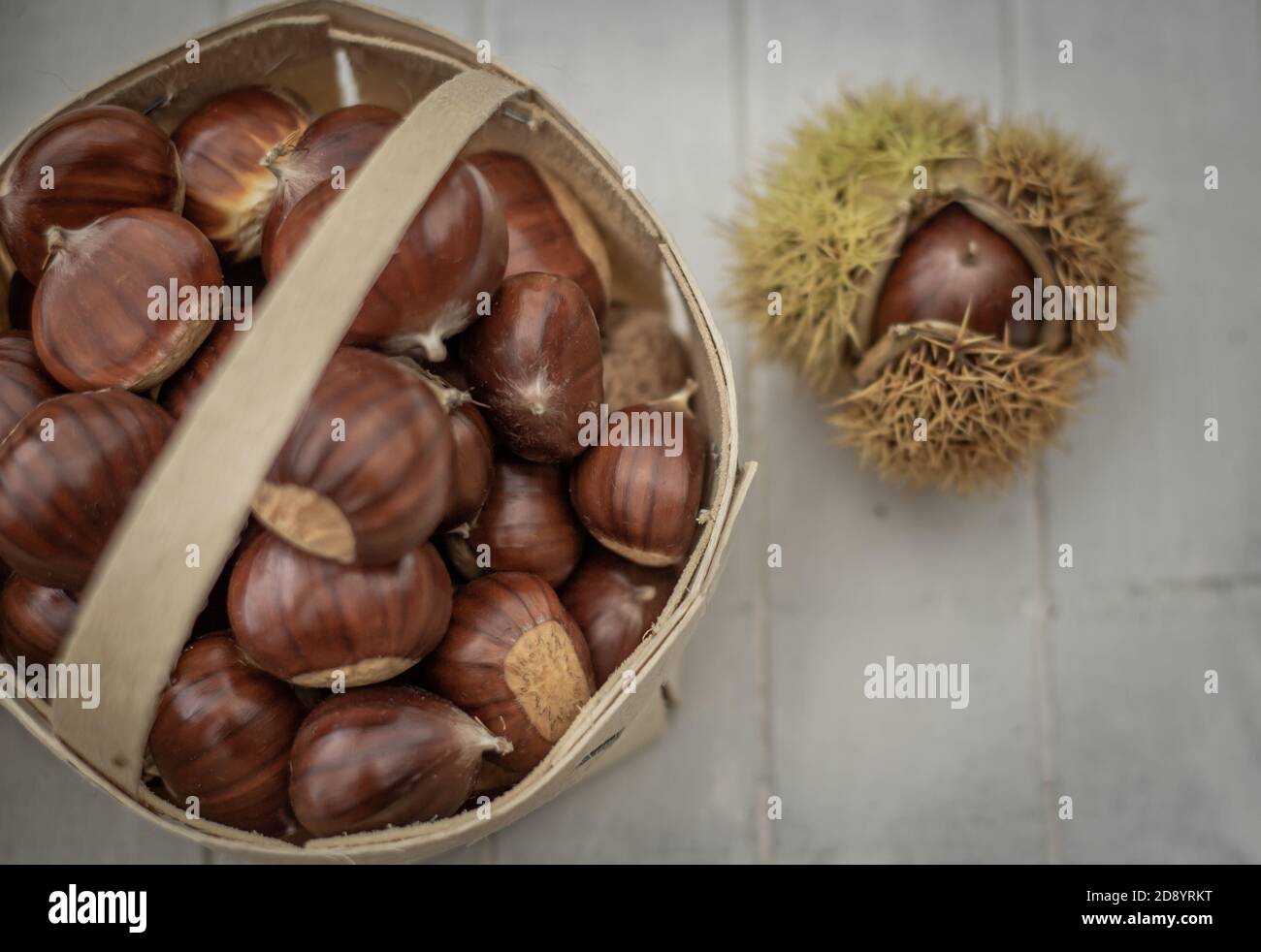 sweet chestnuts rustic composition with opened cupula on daylight ...