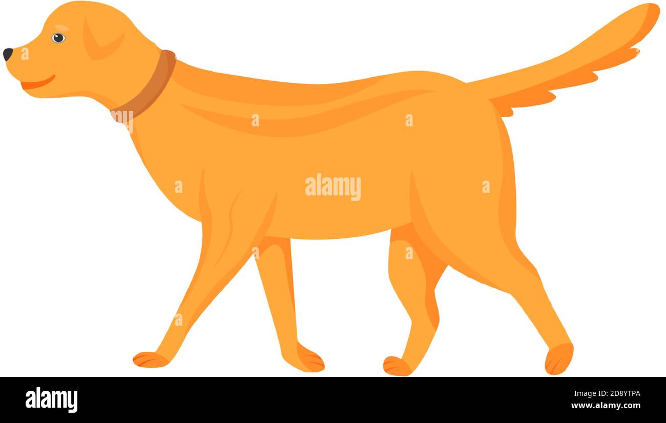 Ginger dog flat color vector character Stock Vector Image & Art - Alamy