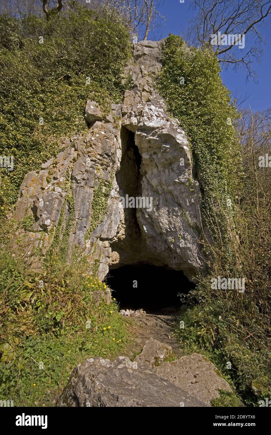 Cat hole cave at Parc Cwm, Parkmill, Gower peninsula, Wales, UK Stock ...